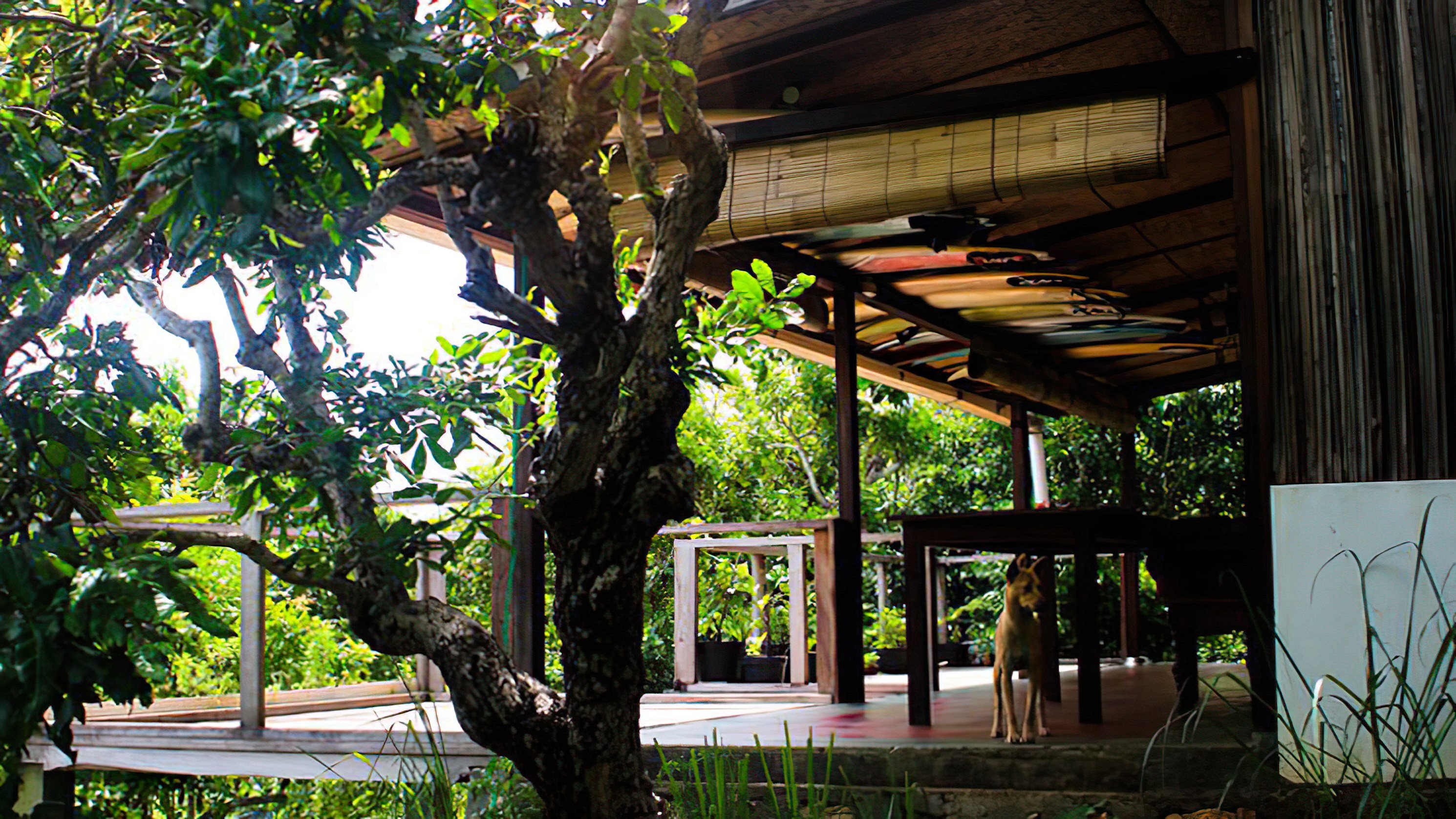 Boa Hills Eco Surf House - Roti - Surf Camp | LUEX